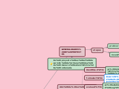 PROYECTO - Concept Map